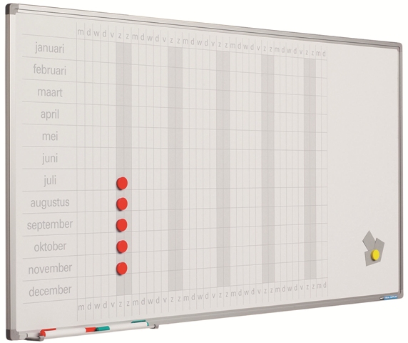Planbord Jaarplanning 60x120 cm in dagen